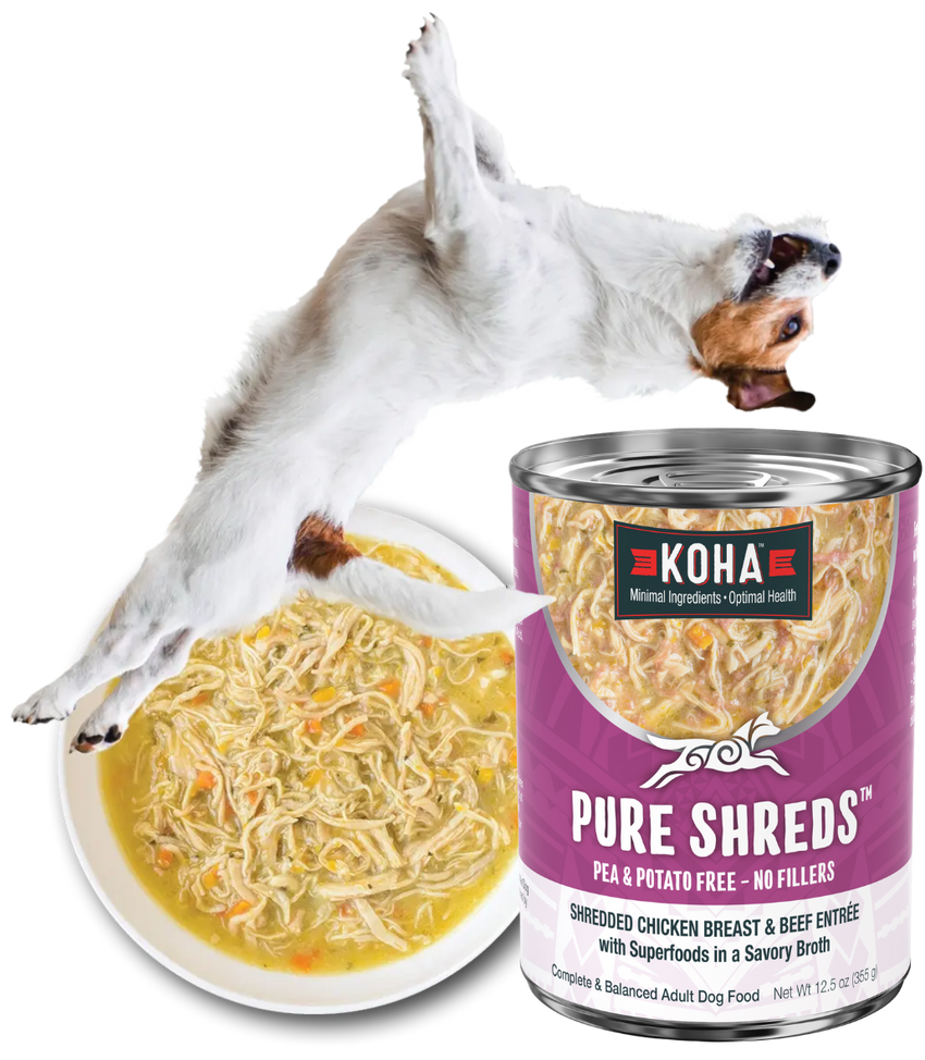 Pure Shreds for Dogs – KOHA Pet
