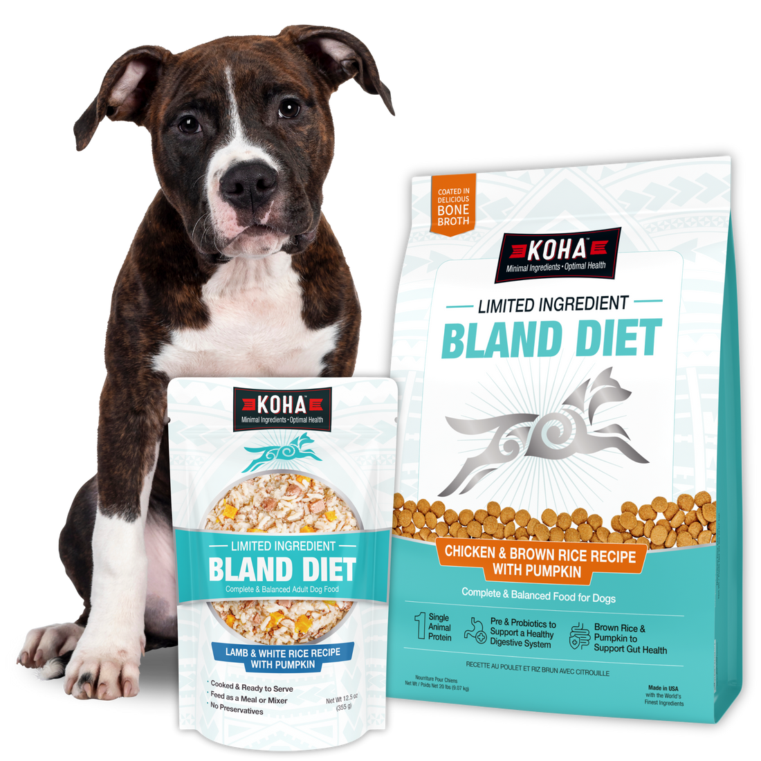 Limited Ingredient Bland Diet for Dogs – KOHA Pet