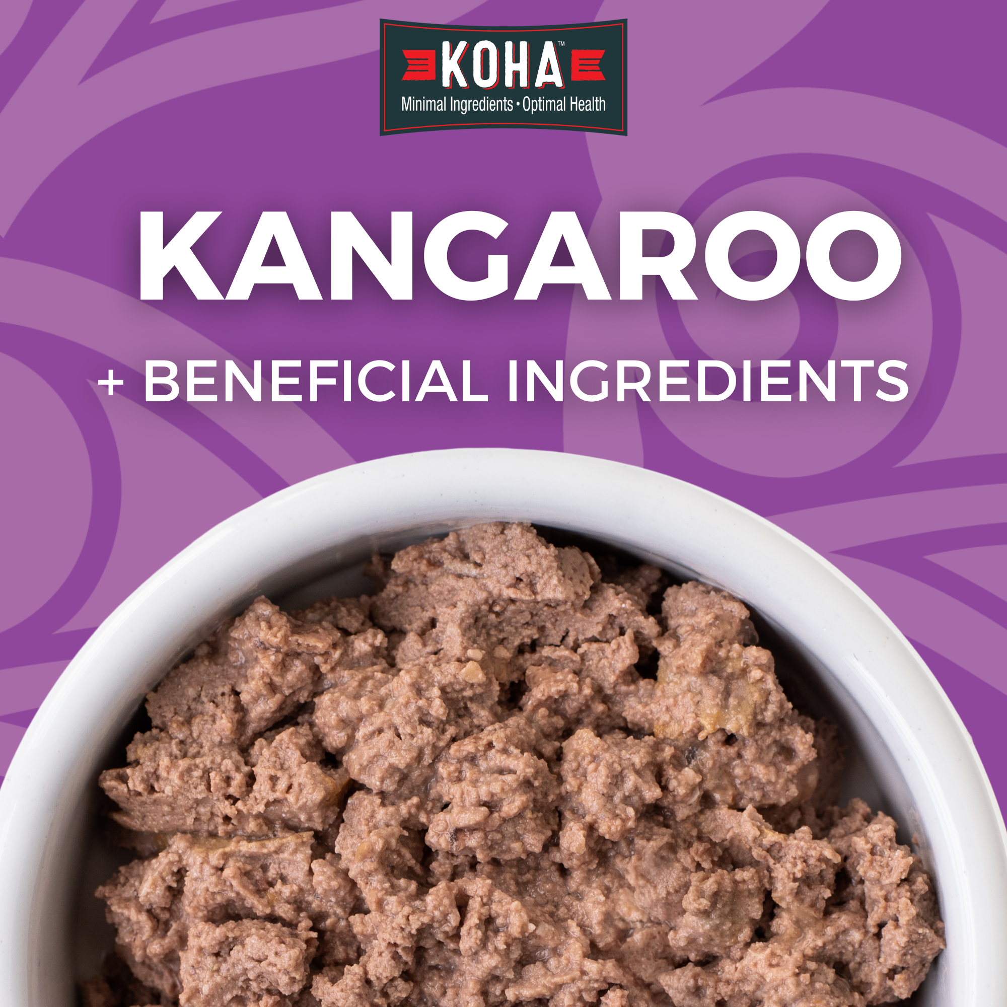 Limited Ingredient Diet Kangaroo Paté Wet Cat Food | KOHA Pet