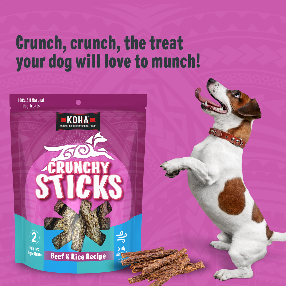Crunchy Sticks Beef & Rice Recipe Dog Treats | KOHA Pet