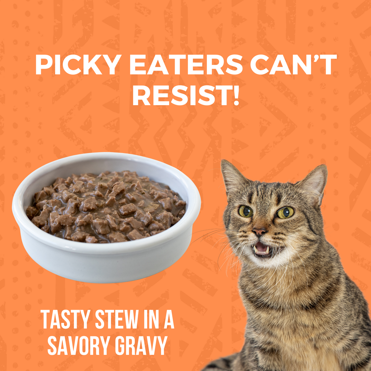 Minimal Ingredient Stews Cat Trial Pack – KOHA Pet