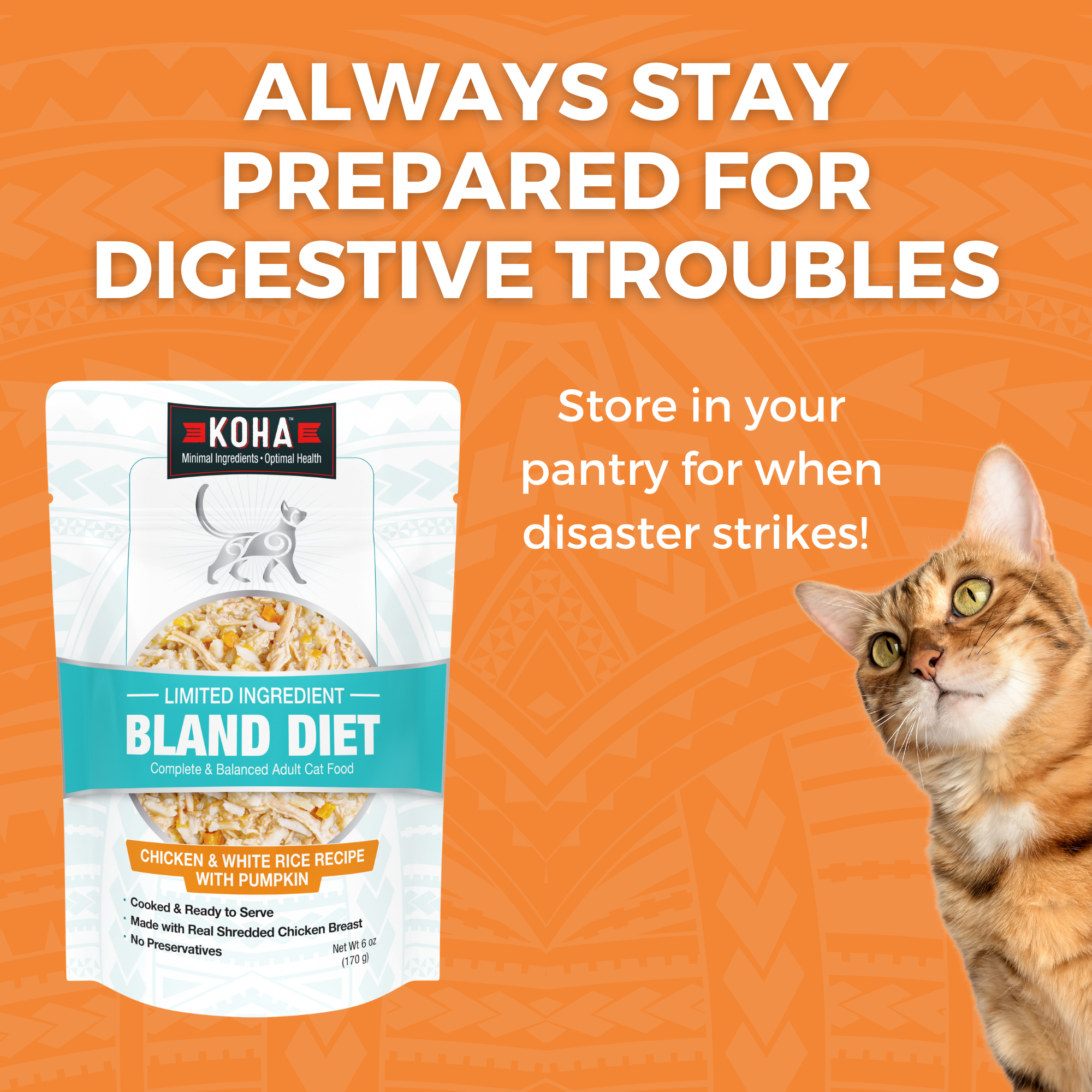 Limited Ingredient Chicken Bland Diet For Cats | KOHA Pet