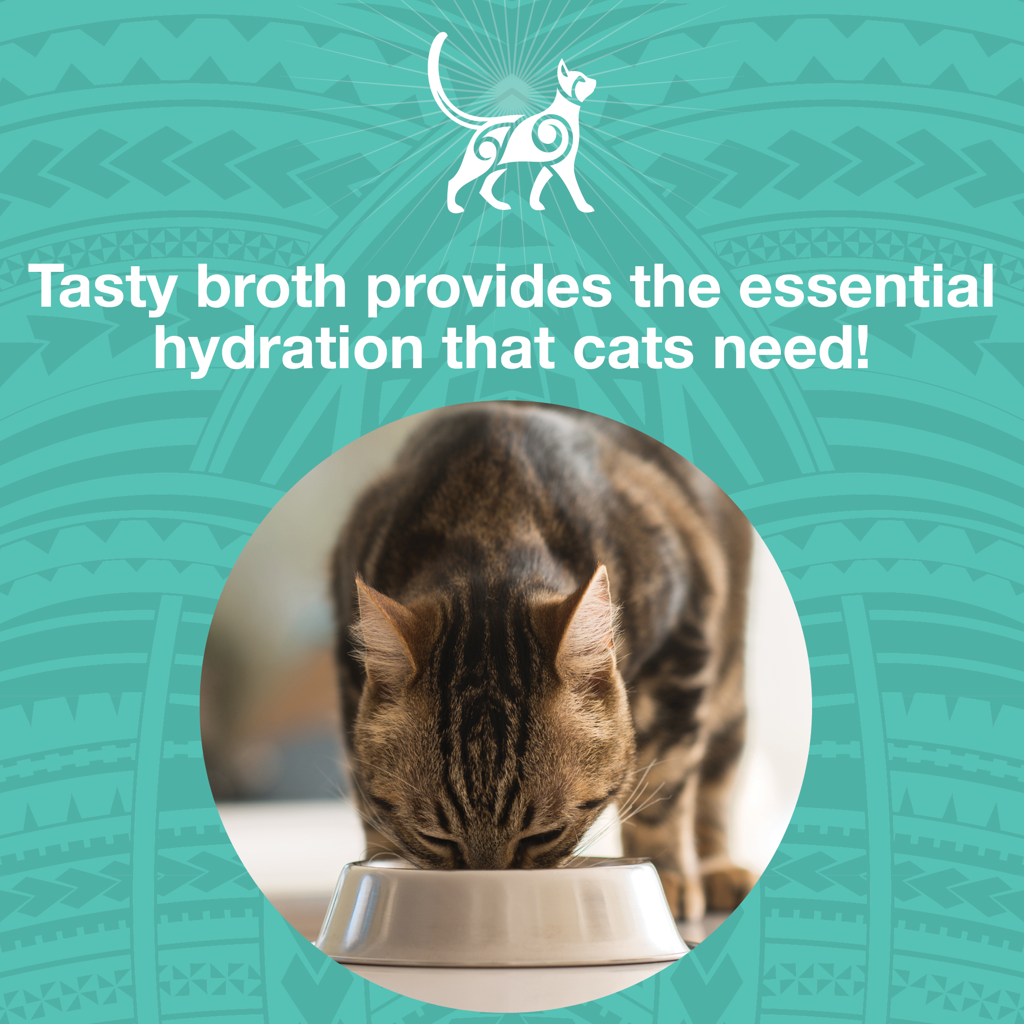 Pure Shreds Duck Entrée for Cats | KOHA Pet