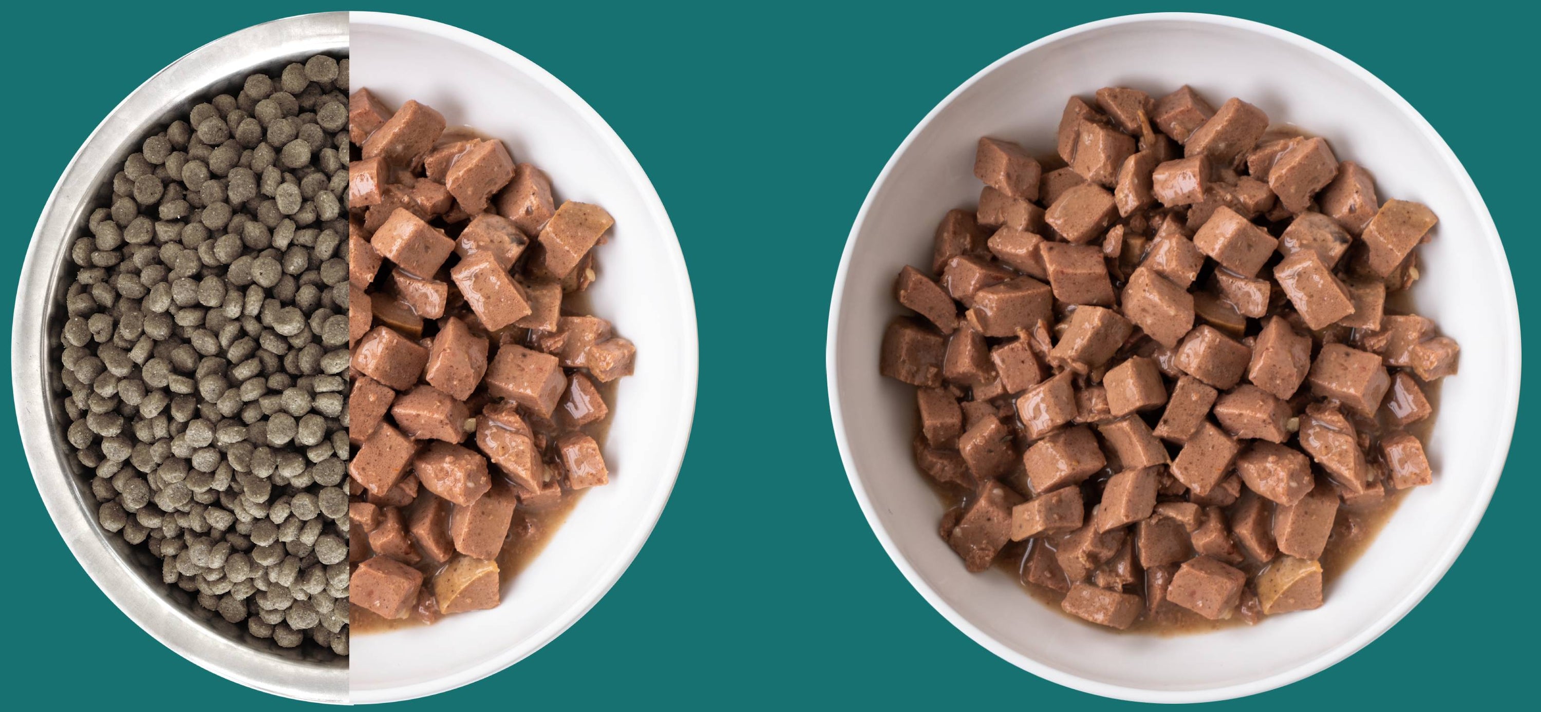 Recipe Guide for Dogs – KOHA Pet